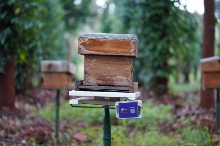 BeePrecise Sensors – BeePrecise