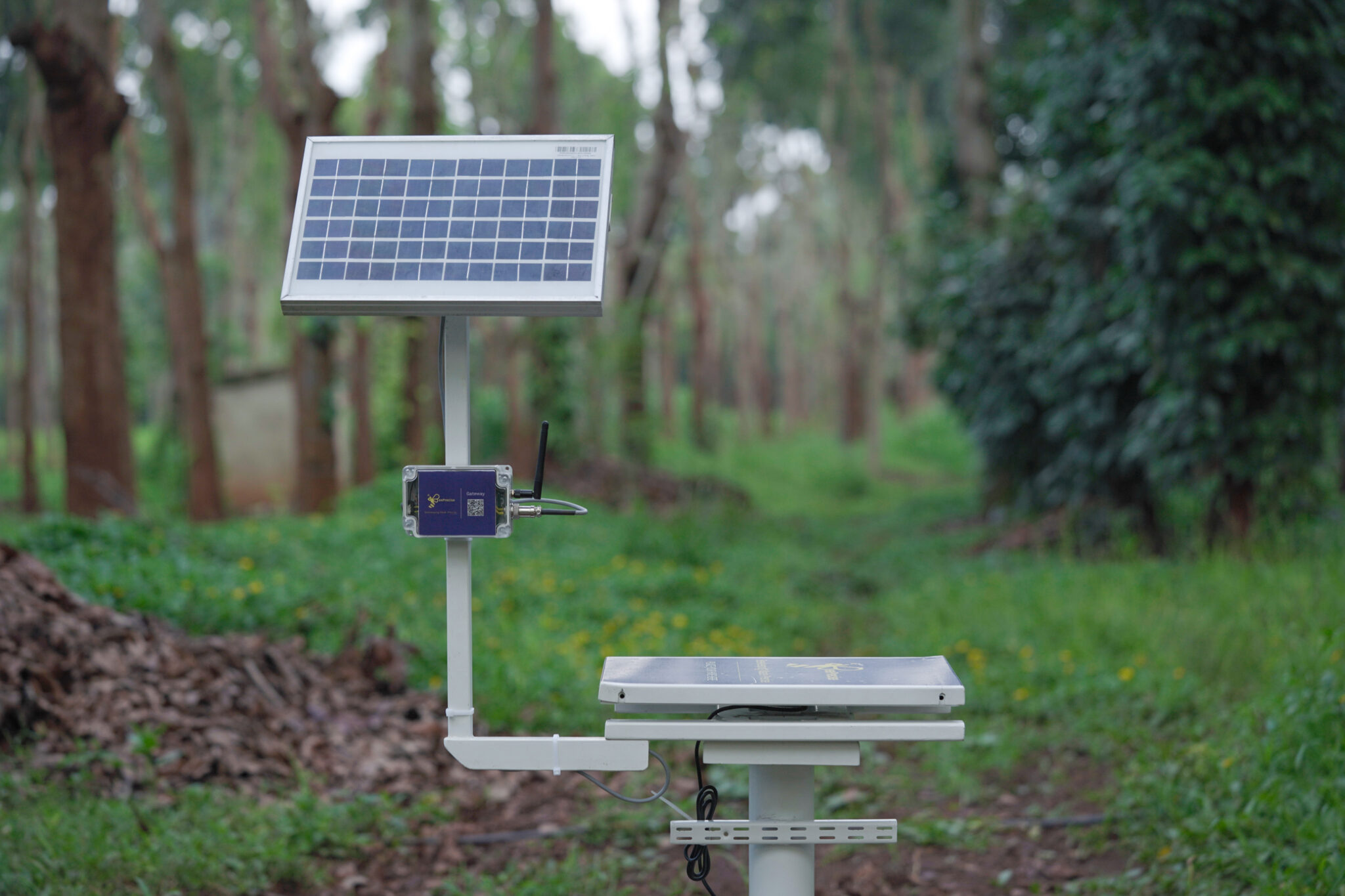 BeePrecise Sensors – BeePrecise