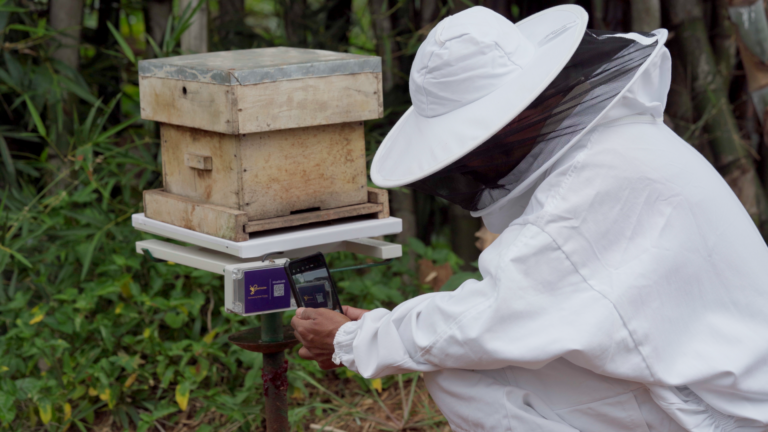 BeePrecise – Beekeeping Made Precise