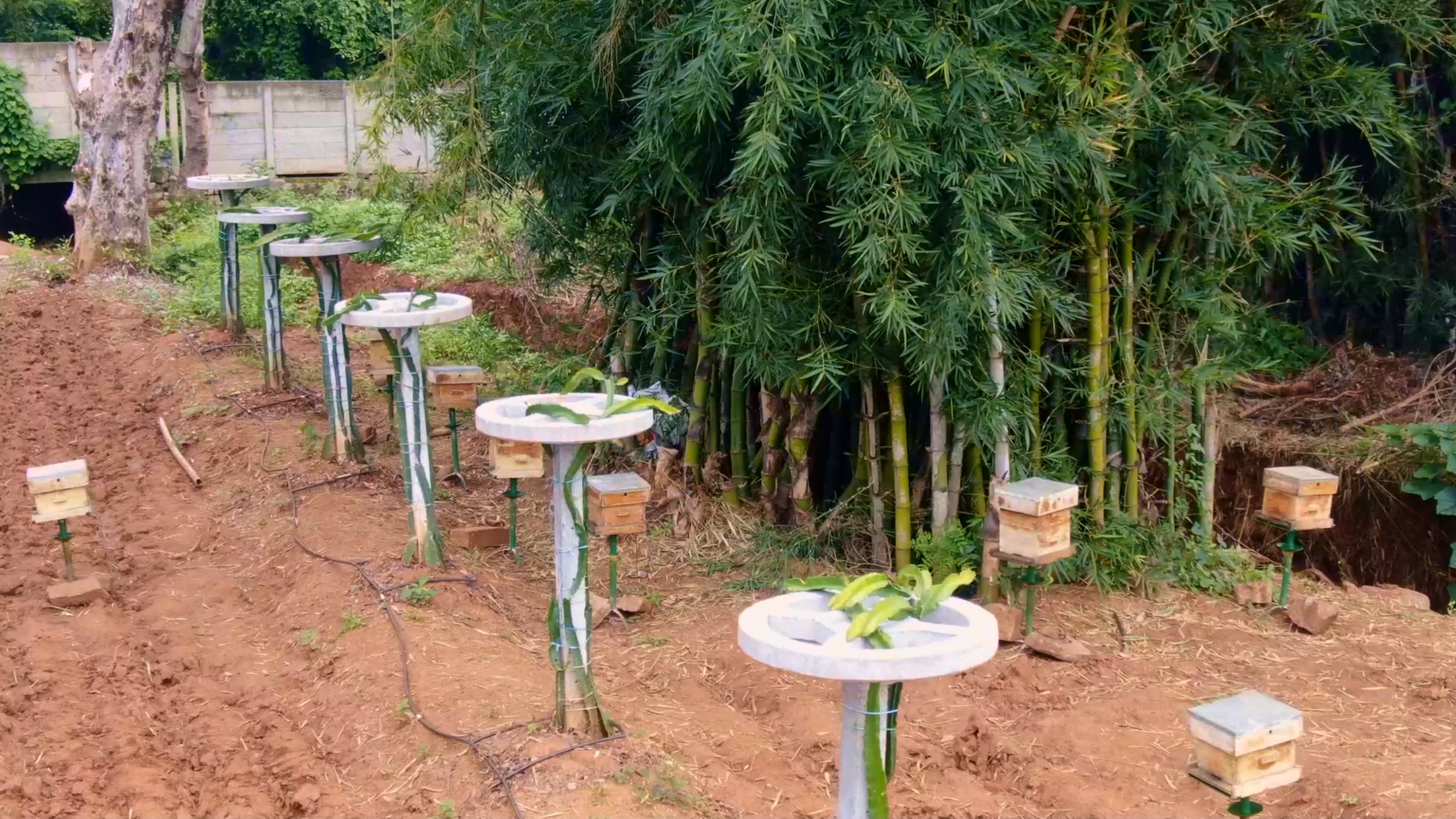 BeePrecise – Beekeeping Made Precise