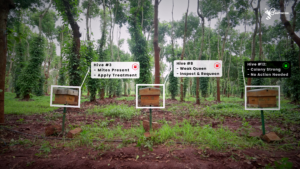 BeePrecise – Beekeeping Made Precise